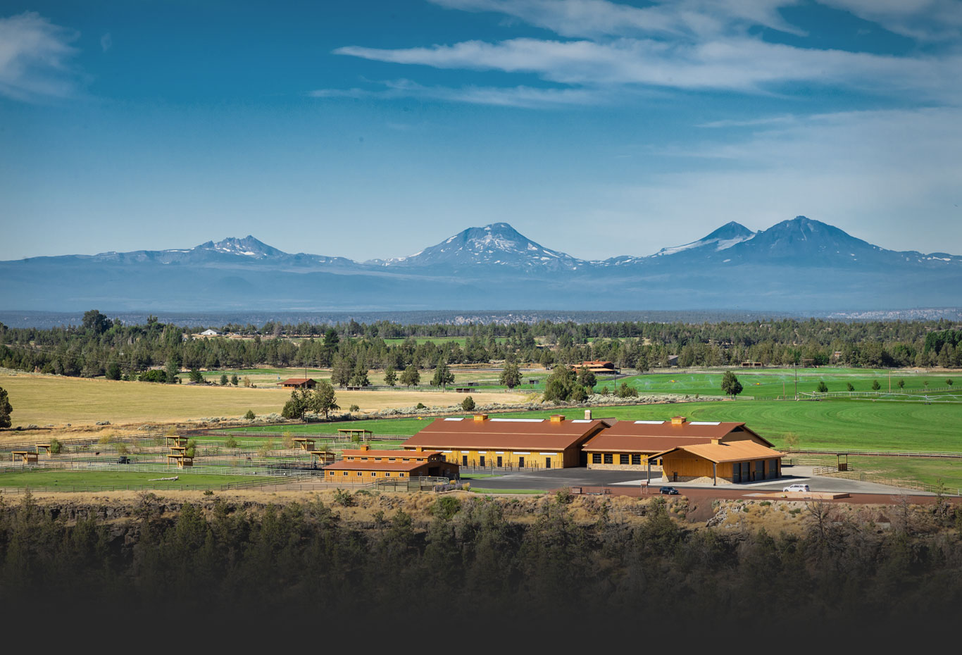 Coyote Rock Ranch | Broodmares and Prospects | Terrebonne, Oregon