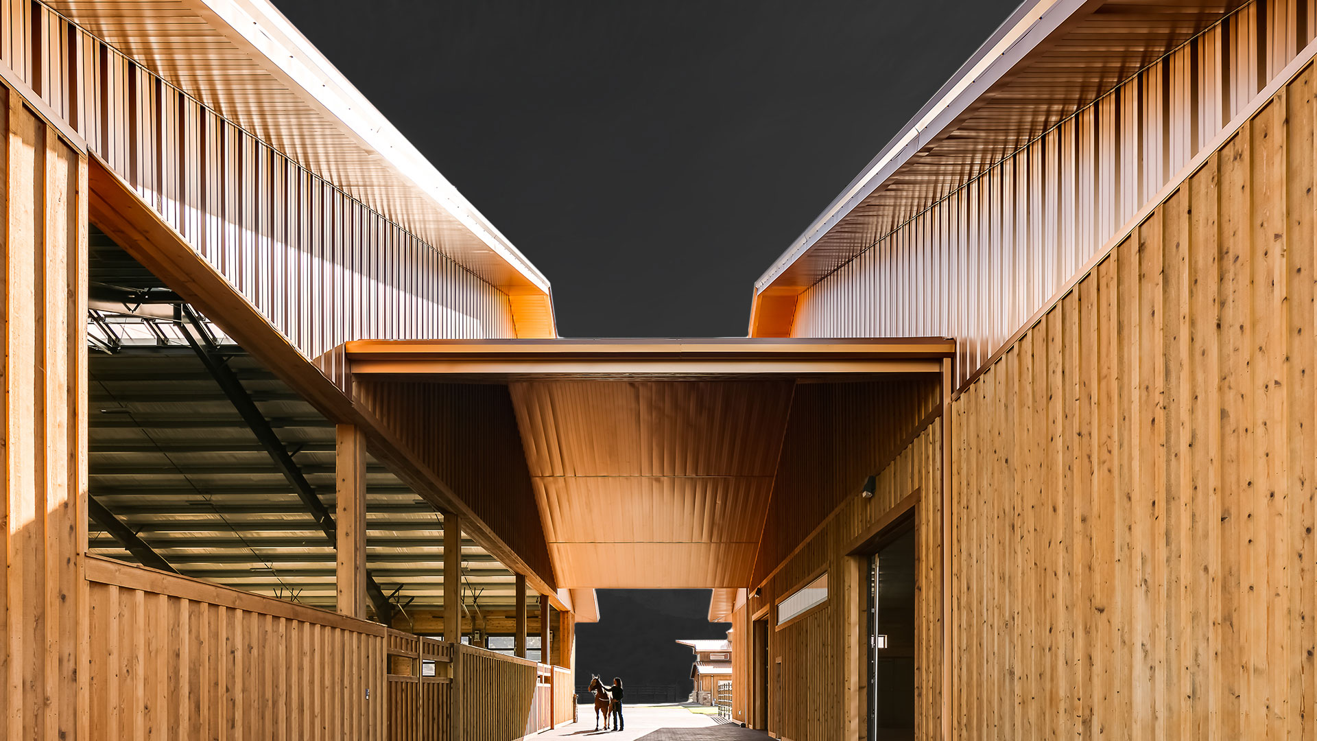 Coyote Rock Ranch | Broodmares and Prospects | Terrebonne, Oregon