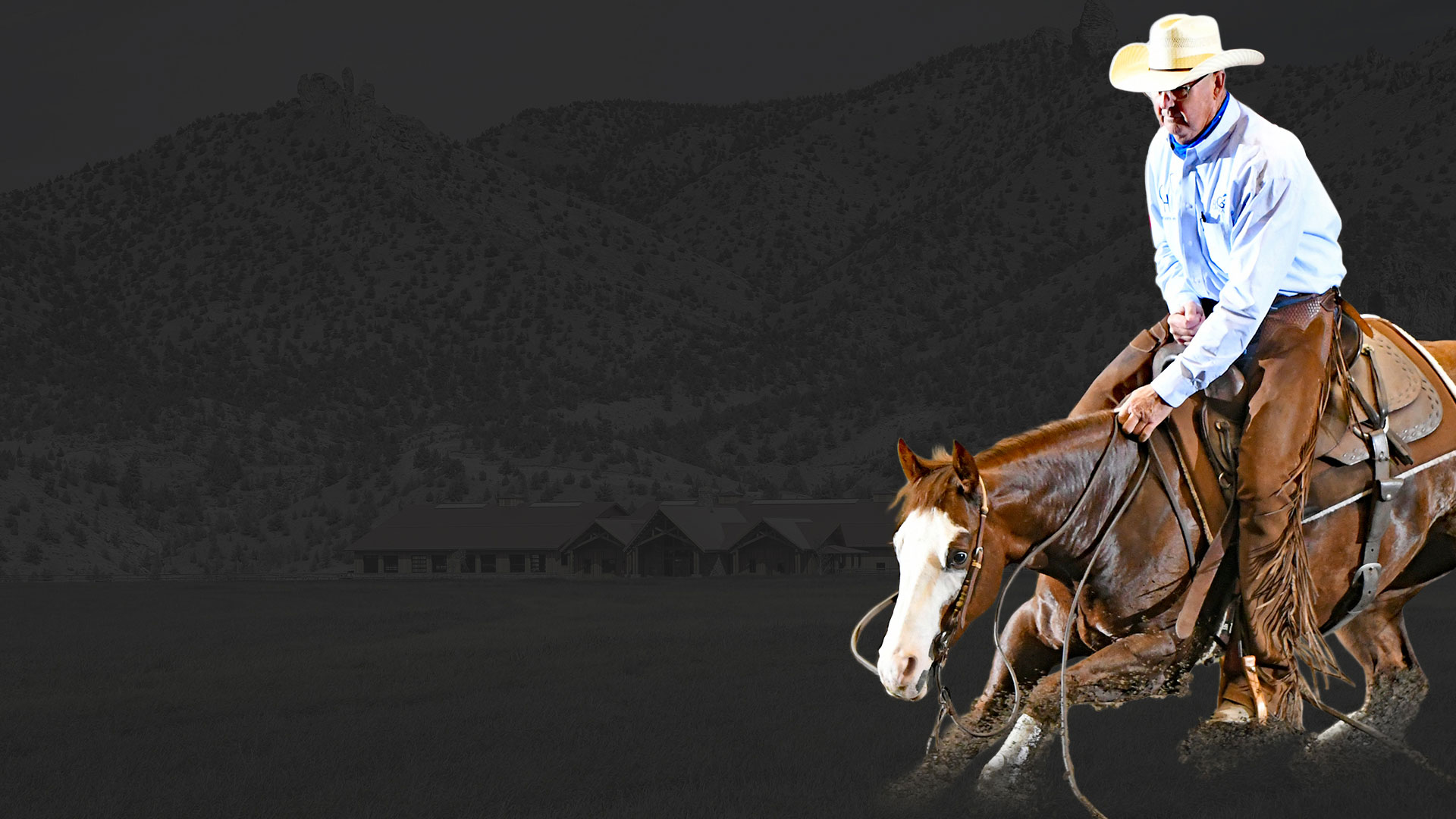 Coyote Rock Ranch | Broodmares and Prospects | Terrebonne, Oregon